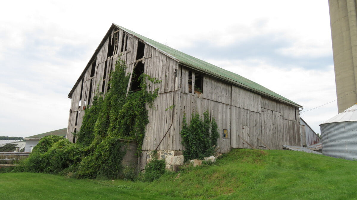 Double Purlin Plate Dutch Barn – My Store