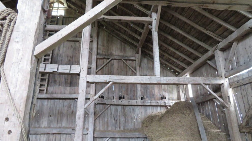 Double Purlin Plate Dutch Barn – My Store